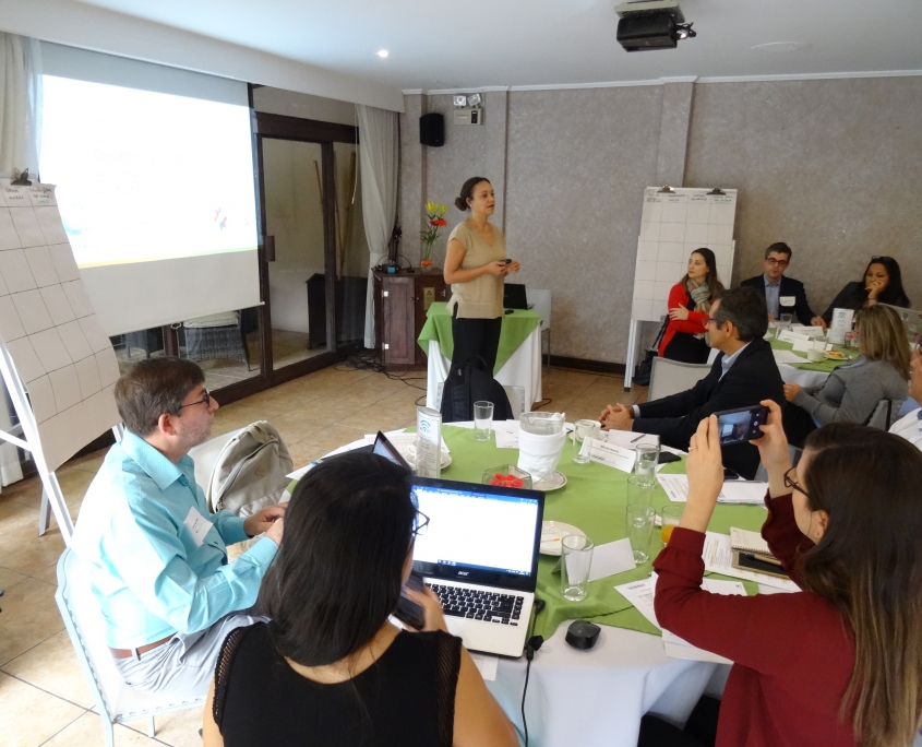 100% Renewable Energy in Costa Rica - Project Page