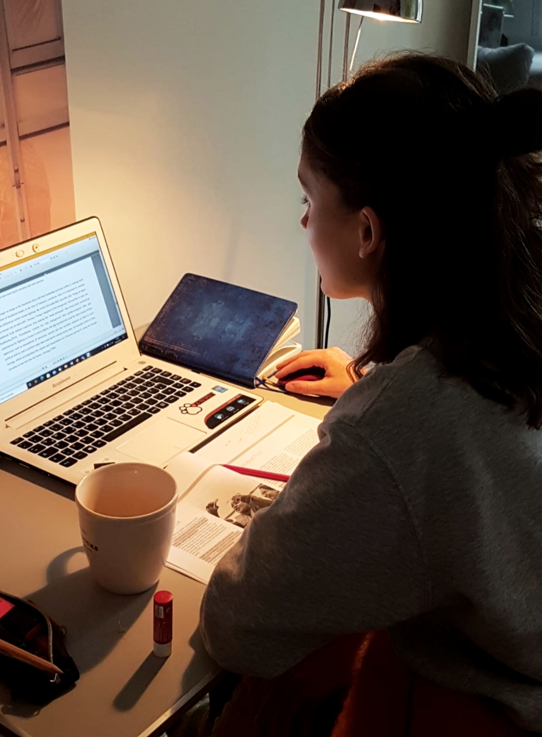 Covid-19- Studying Alone in Front of the Computer