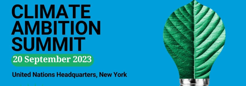 The UN Secretary General´s Global Ambition Summit - World Future Council