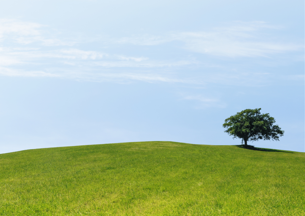 Short Info - World Future Council